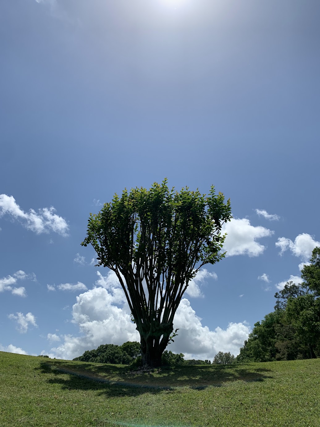 Course Information - Marcus Pointe Golf Club