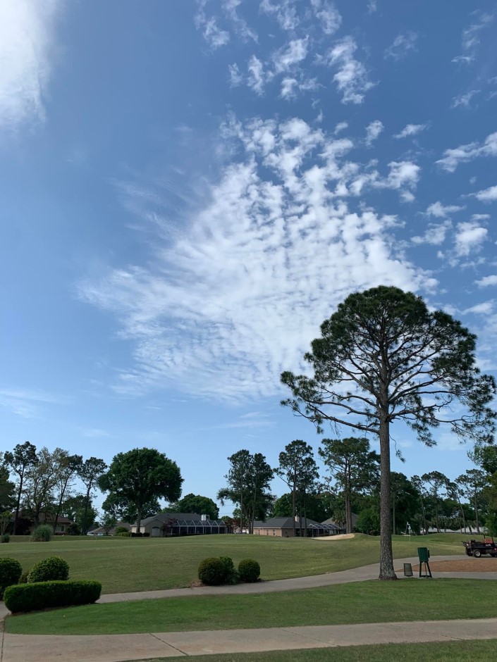 Course Information - Marcus Pointe Golf Club